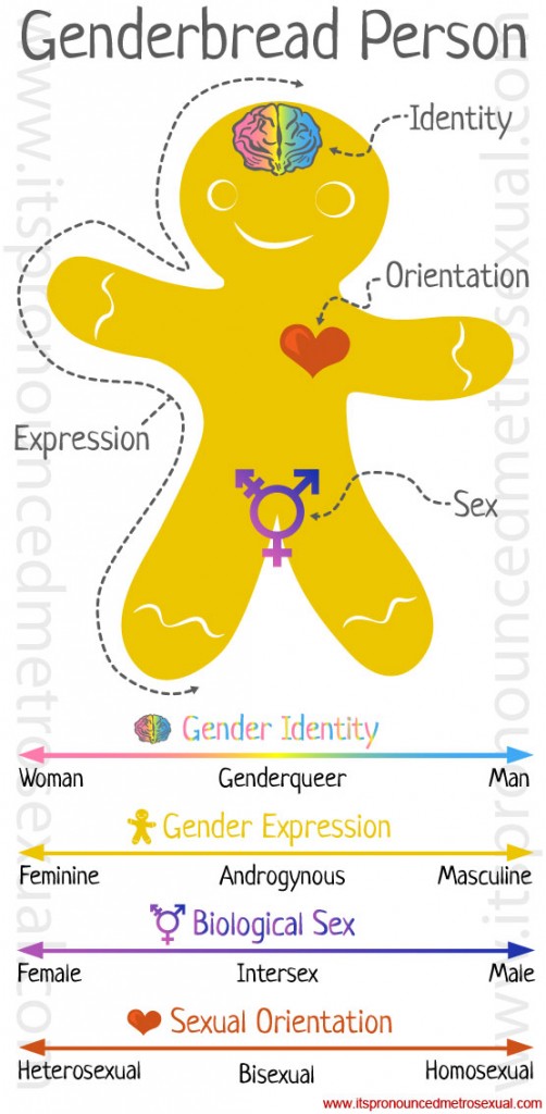 Breaking through the binary: Gender explained using continuums - It's ...