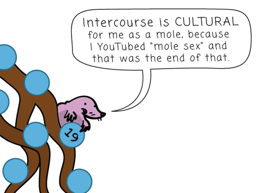 The Many Elements of Comprehensive Sexuality: Meet the Sexualitree - It ...